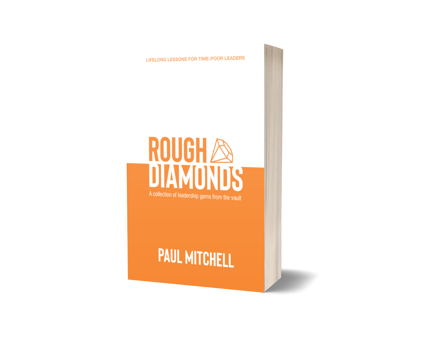 Rough Diamonds by Paul Mitchell - Your Leadership Diamond by Paul Mitchell